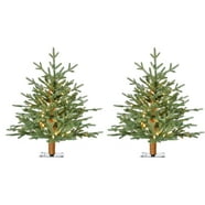 Fraser Hill Farm 3-ft. Snowy Downswept Tree with Clear Lights Metal ...