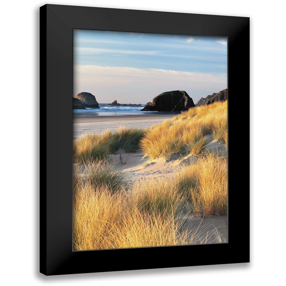 Frates, Dennis 11x14 Black Modern Framed Museum Art Print Titled - Dune ...