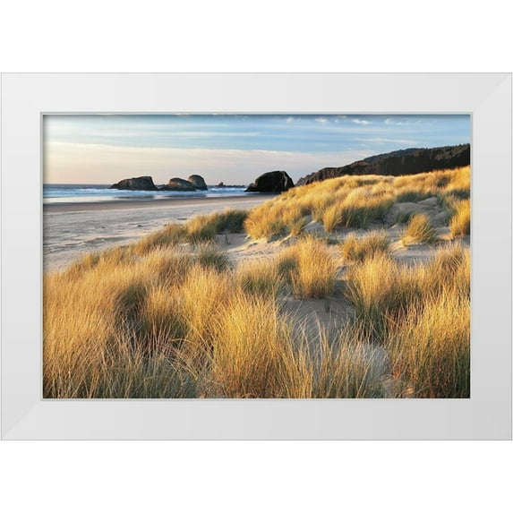 Frates, Dennis 14x11 White Modern Wood Framed Museum Art Print Titled ...