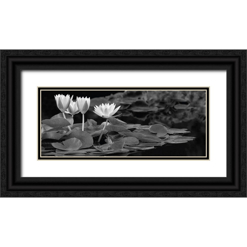 Frates, Dennis 14x8 Black Ornate Wood Framed with Double Matting Museum ...