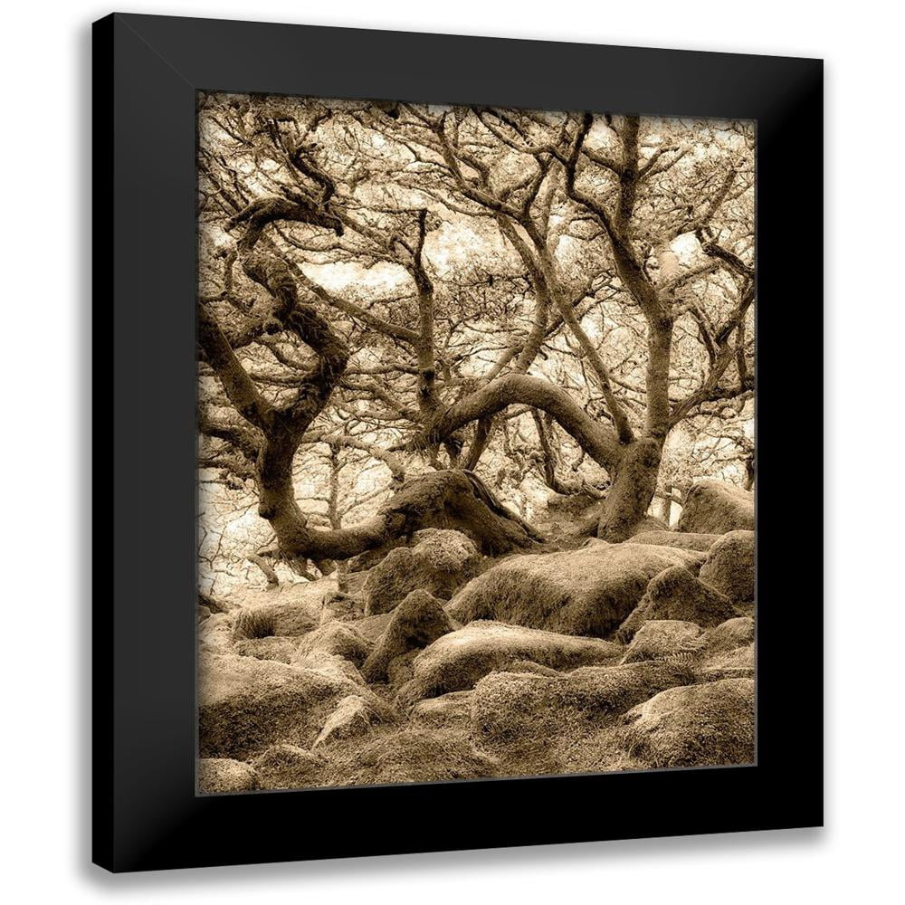 Frates, Dennis 15x18 Black Modern Framed Museum Art Print Titled - Moss ...