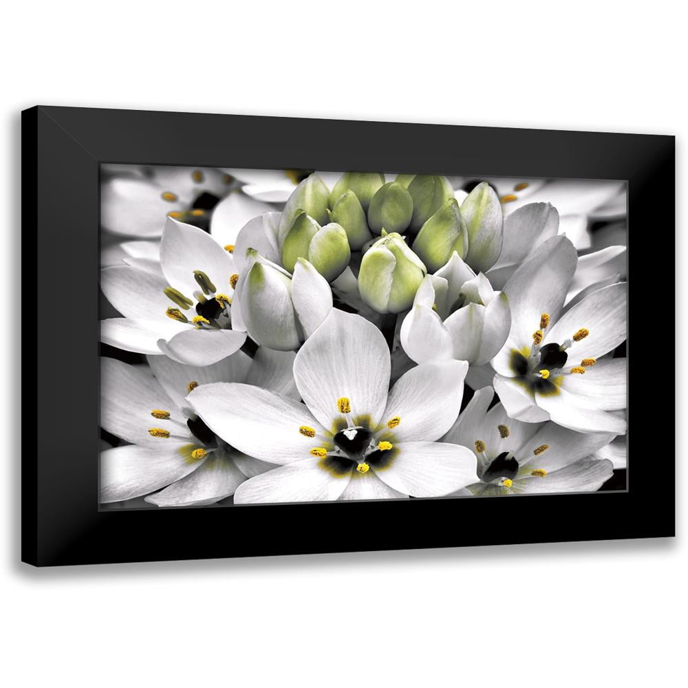 Frates, Dennis 18x13 Black Modern Framed Museum Art Print Titled ...