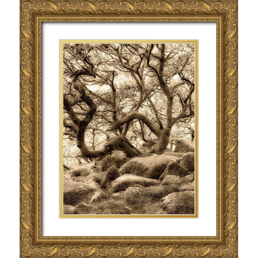 Frates, Dennis 26x32 Gold Ornate Wood Framed with Double Matting Museum ...