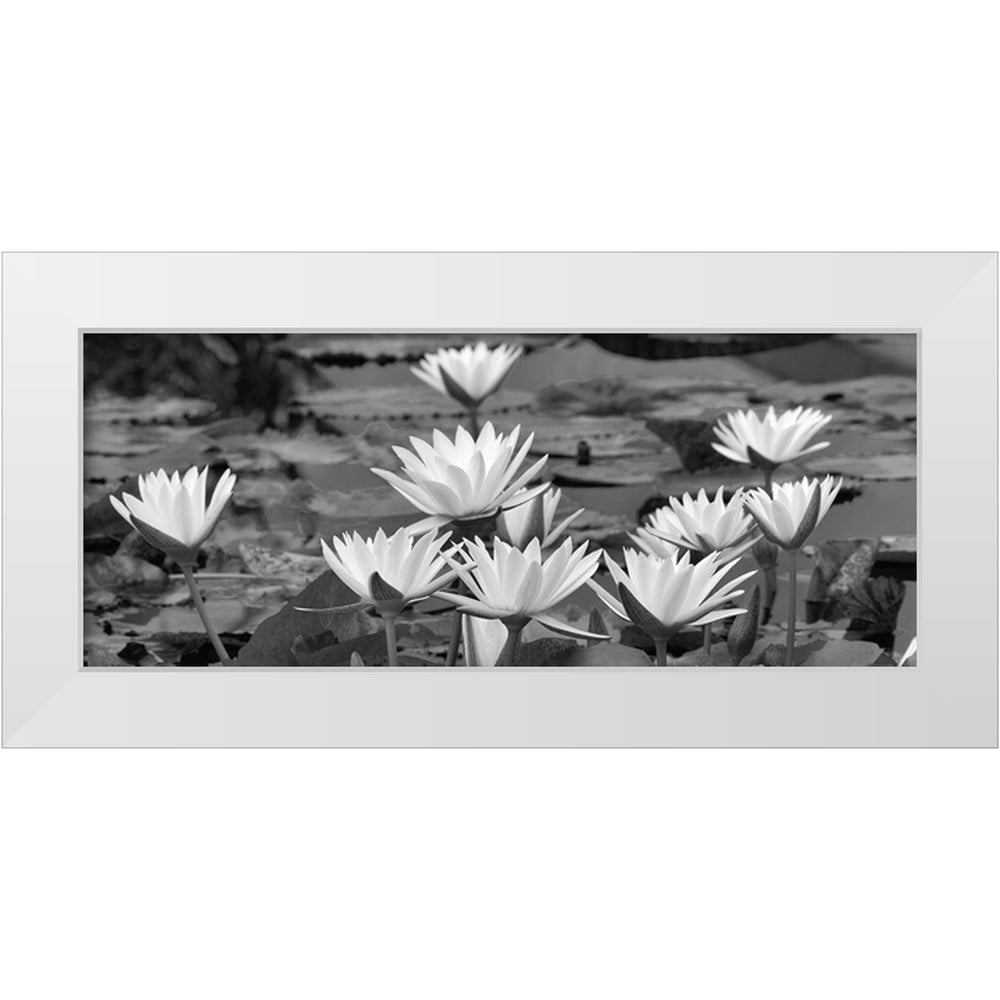 Frates, Dennis 32x15 White Modern Wood Framed Museum Art Print Titled ...