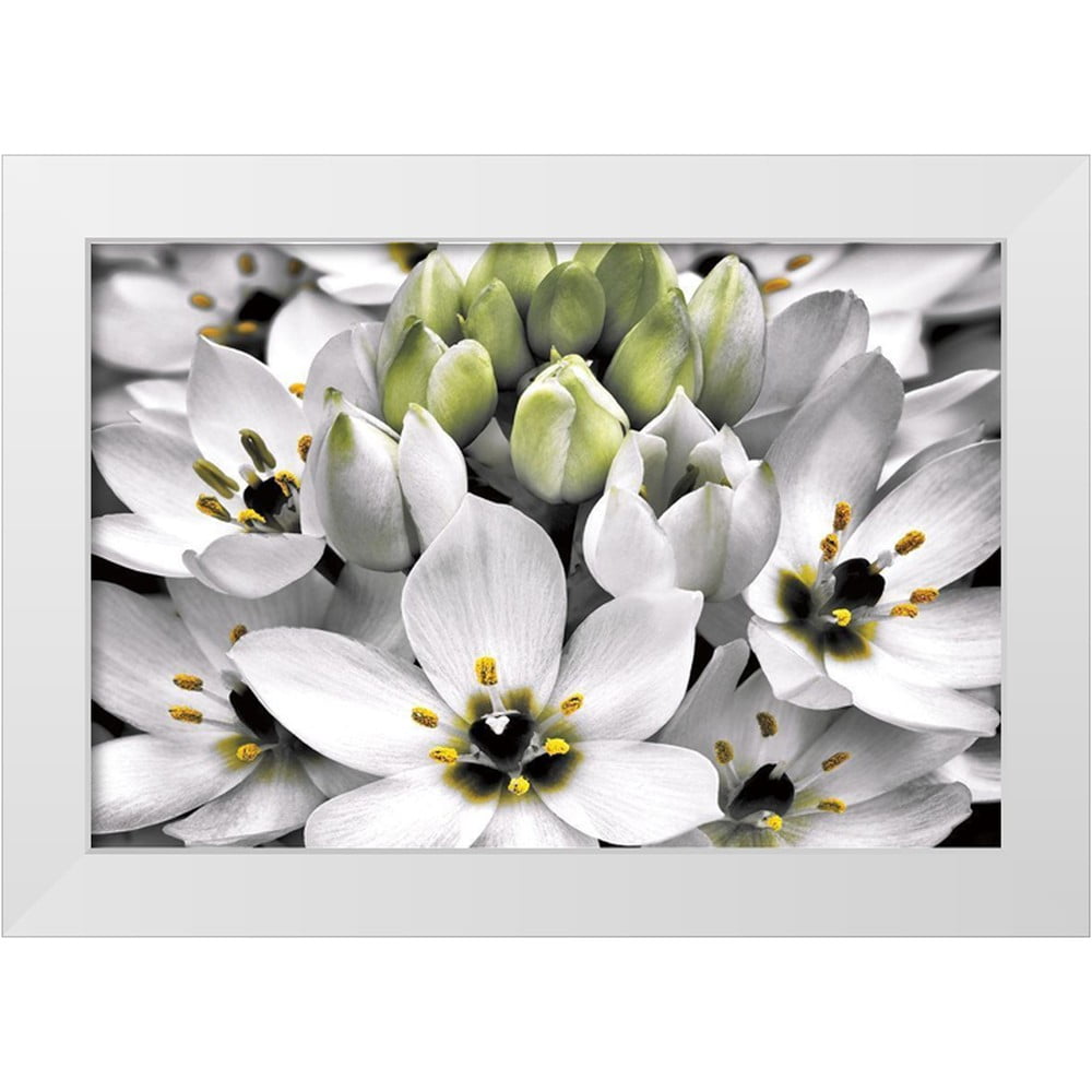 Frates, Dennis 32x23 White Modern Wood Framed Museum Art Print Titled ...