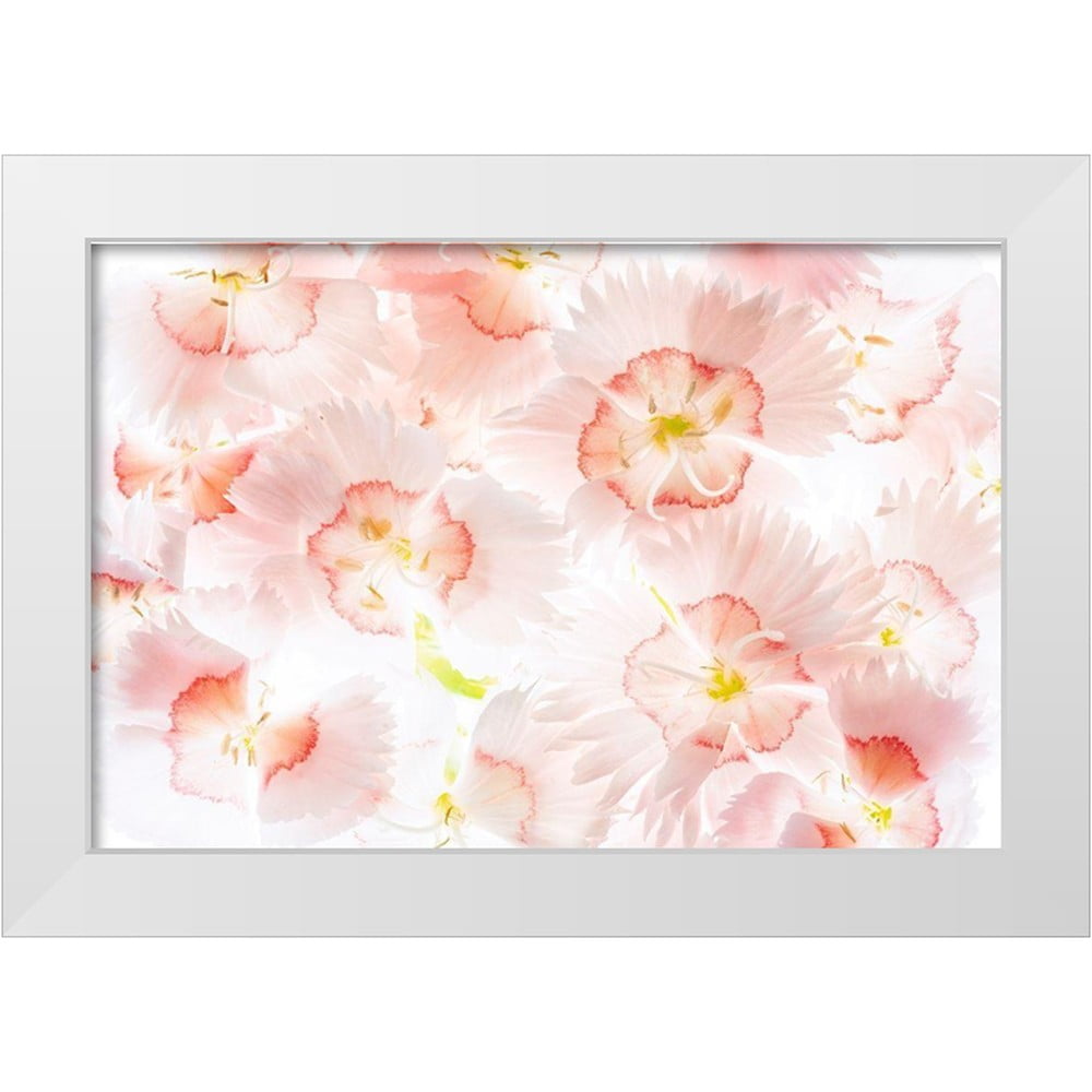 Frates, Dennis 32x23 White Modern Wood Framed Museum Art Print Titled ...