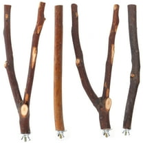 Wood Bird Stand Perch Natural Tree Branch Paw Grinding Standing ...