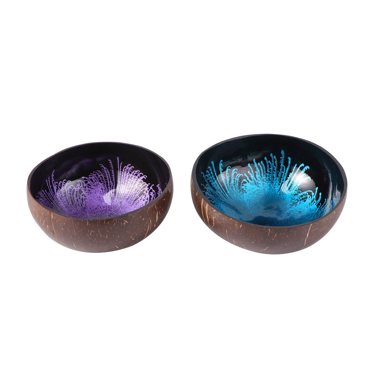 Frcolor Decorative Coconut Shell Storage Bowl for Candies, Nuts, Keys ...