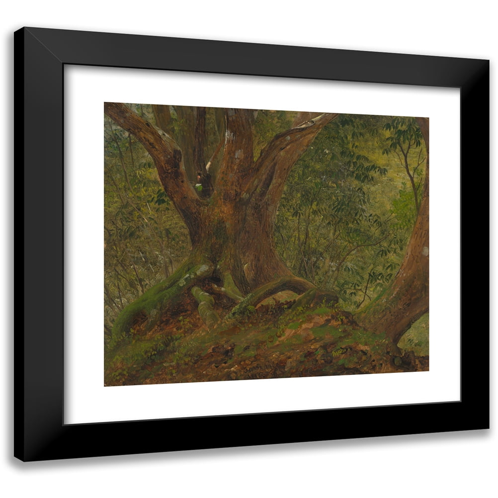 Frederic Edwin Church 22x20 Black Modern Framed Museum Art Print Titled ...