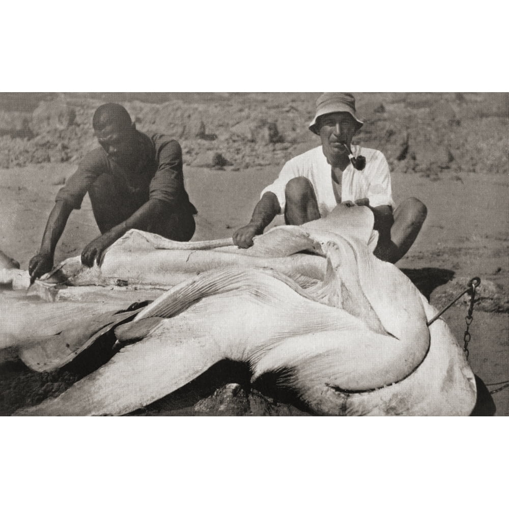 Frederick Albert Mitchell-Hedges Aka Mike Hedges 1882 - 1959. English ...