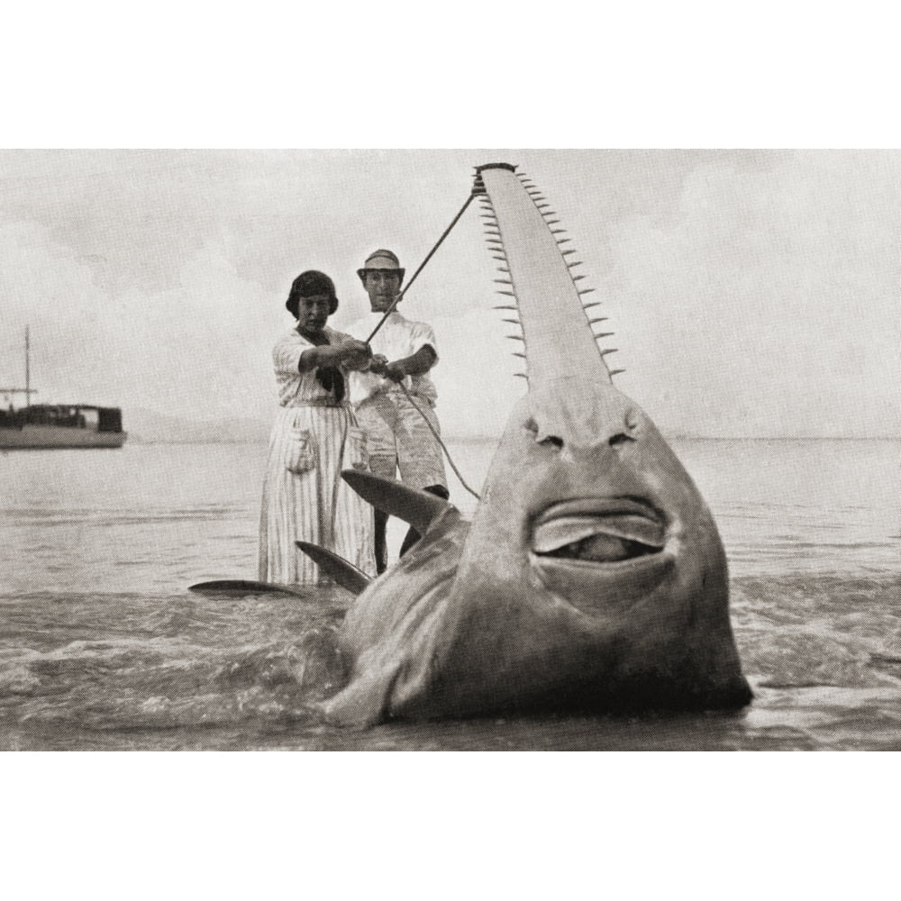 Frederick Albert Mitchell-Hedges Aka Mike Hedges 1882 - 1959. English ...