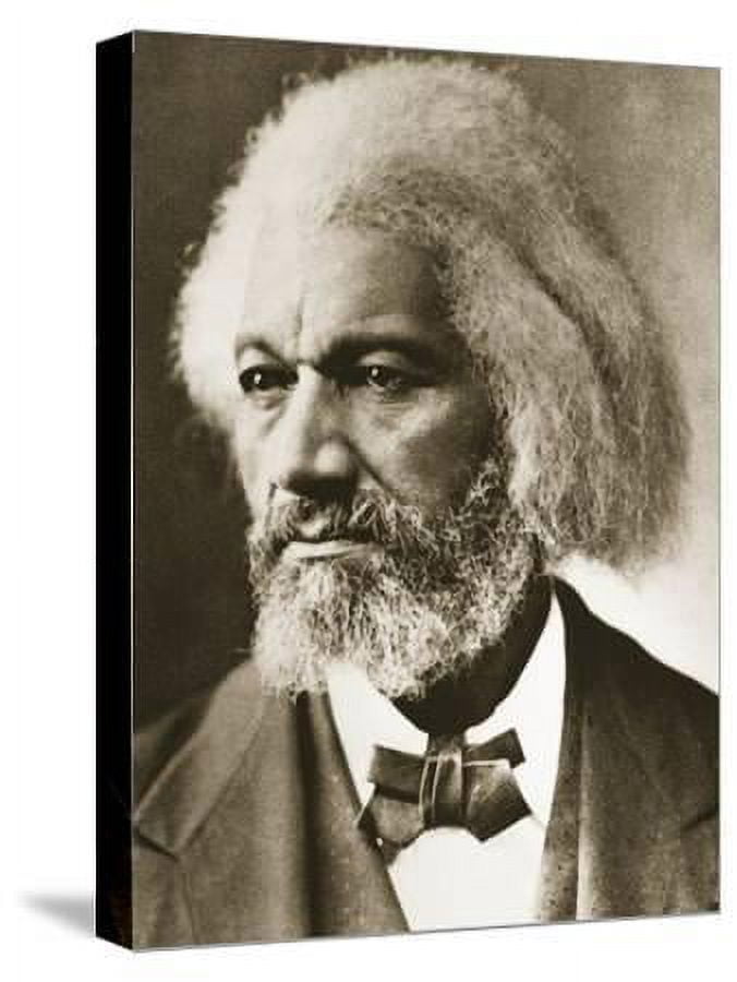 Frederick Douglass, Figurative Stretched Canvas Wall Art by Mathew ...