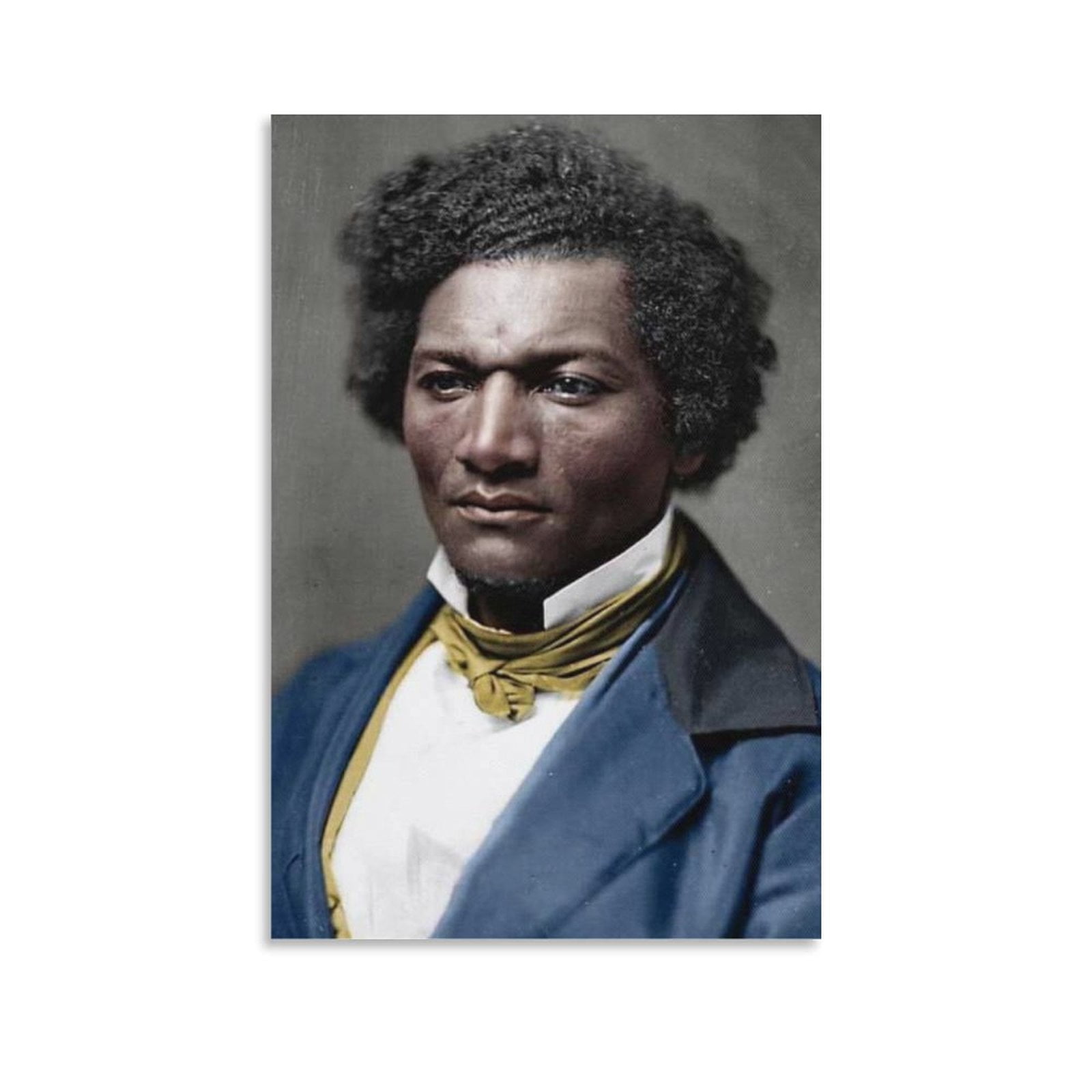 Frederick Douglass Politician Canvas Photo Poster (5) Poster Cool ...