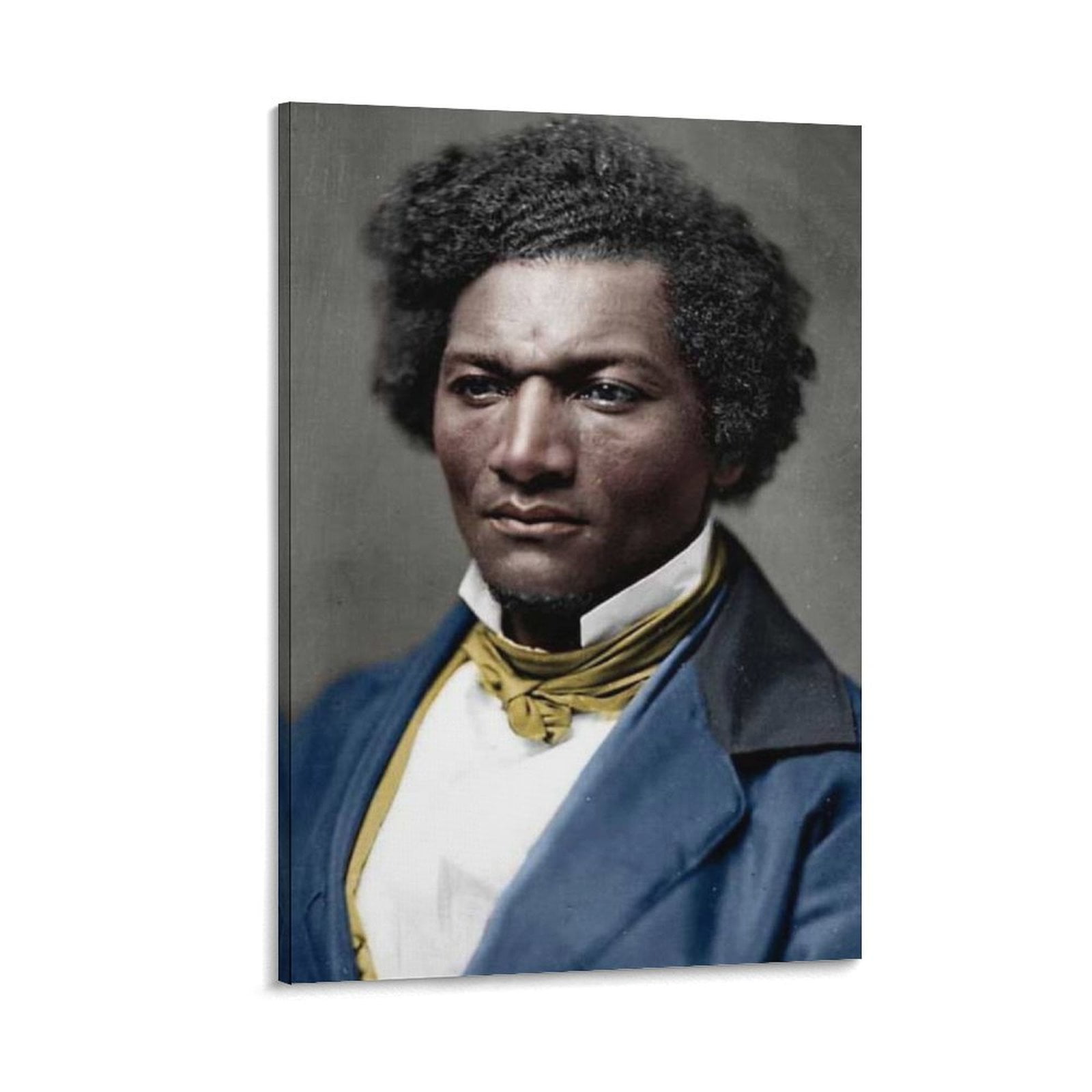 Frederick Douglass Politician Canvas Photo Poster (5) Wall Art Poster ...