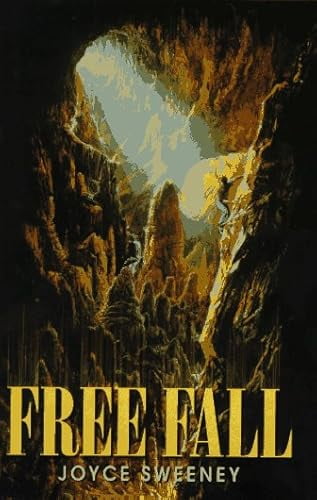 Pre-Owned Free Fall (Hardcover) 0385322119 9780385322119 - Walmart.com