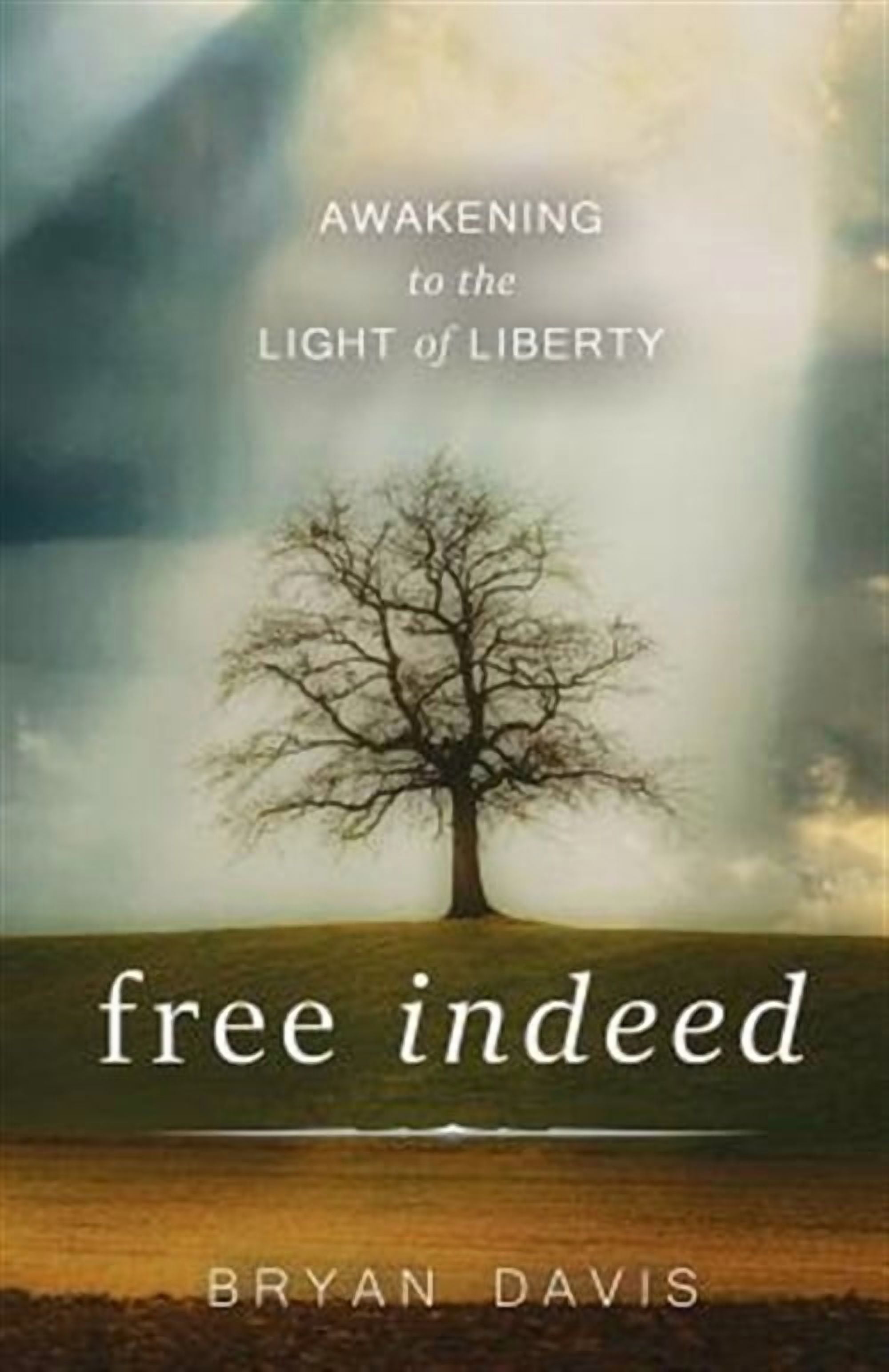 Free Indeed (Paperback) by Bryan Davis - Walmart.com