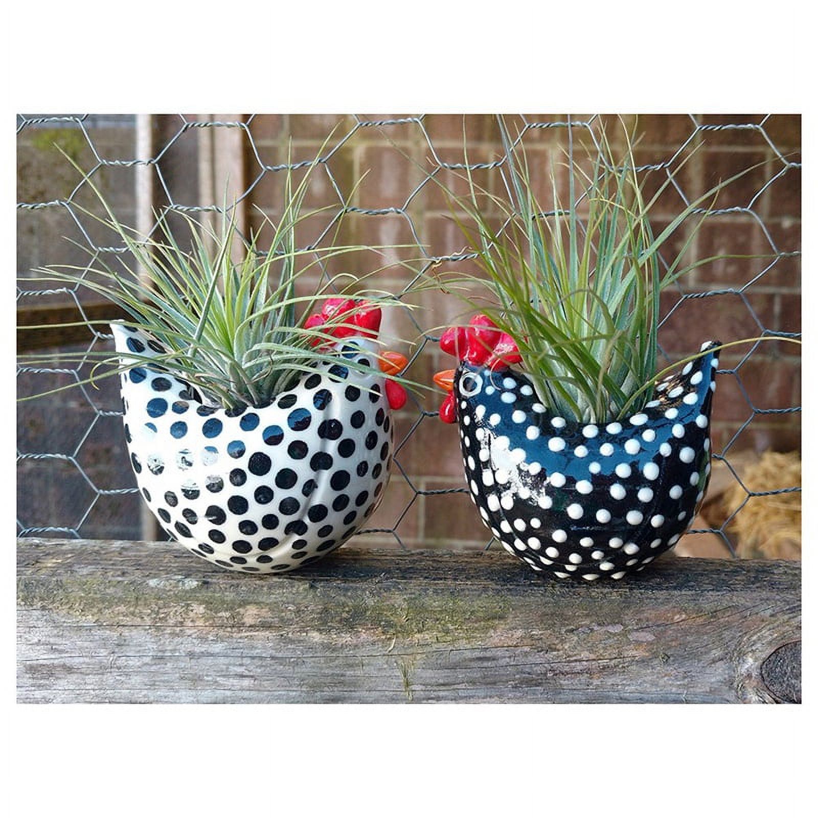 Free Range Black and White Chickens Collection Rooster Planter, Black ...