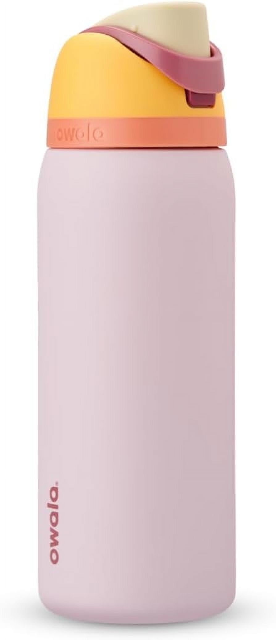 FreeSip Insulated Stainless Steel Water Bottle with Straw for Sports ...