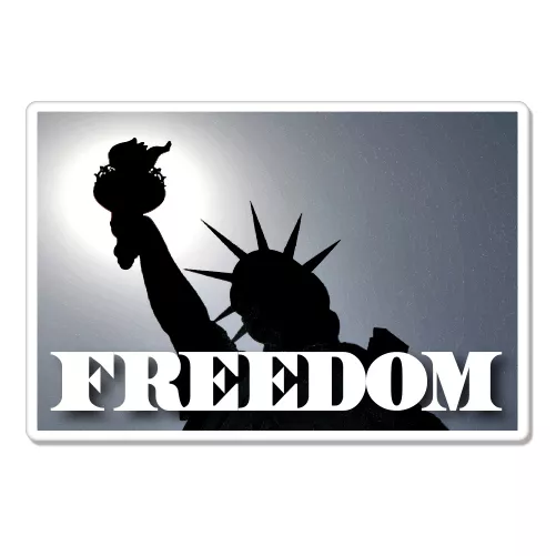 Freedom American Liberty Sticker Decal Phone Decal Water Bottle ...