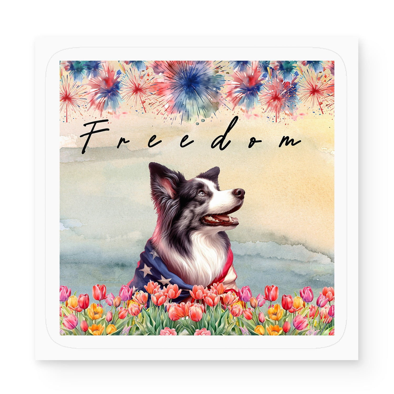 Freedom Border Collie on Independence Day 4th of July Vinyl Sticker ...