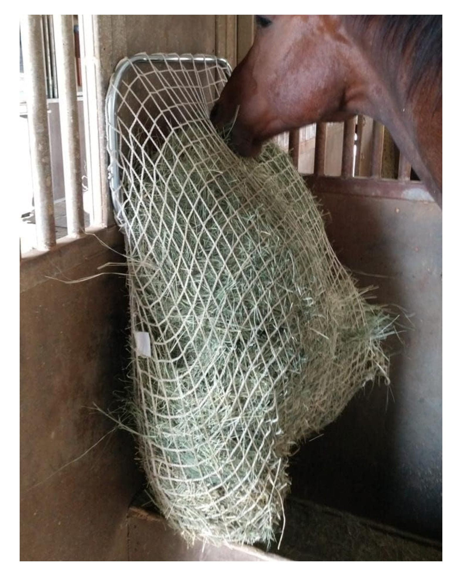Freedom Feeder Hay Net Frame Extended Day Full Bale Aluminum FF-Frame ...