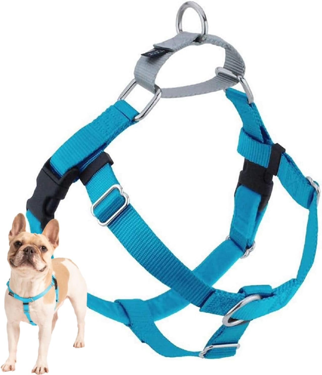 Freedom No Pull Dog Harness | Comfortable Control for Easy Walking ...