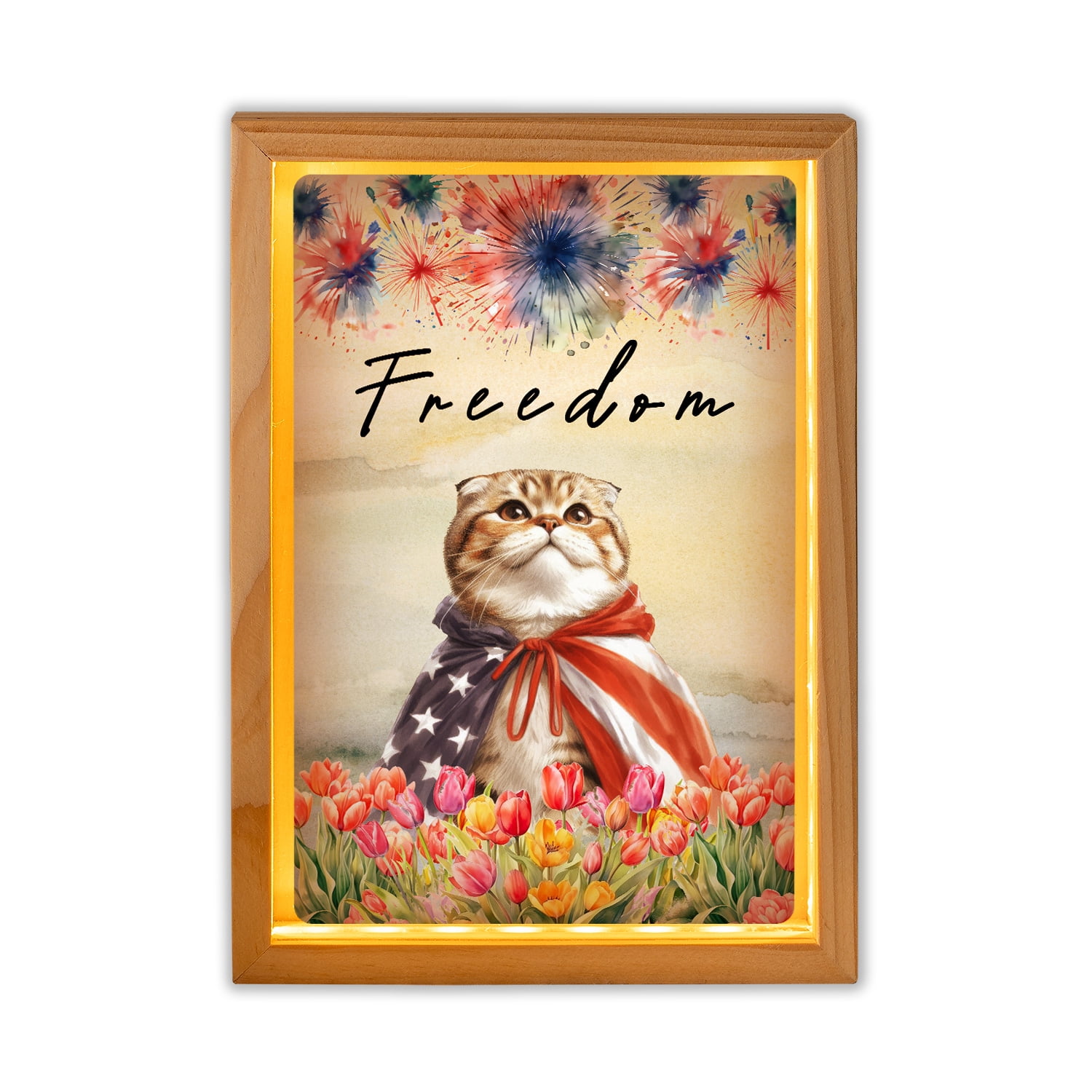 Freedom Scottish Fold on Independence Day 4th of July Acrylic Plaque ...