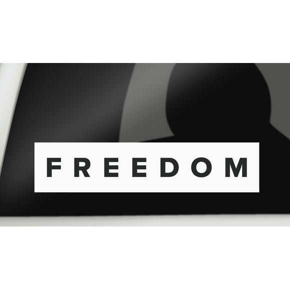 Freedom Decals and LED Signs for Cars and Decor in Bright Colors