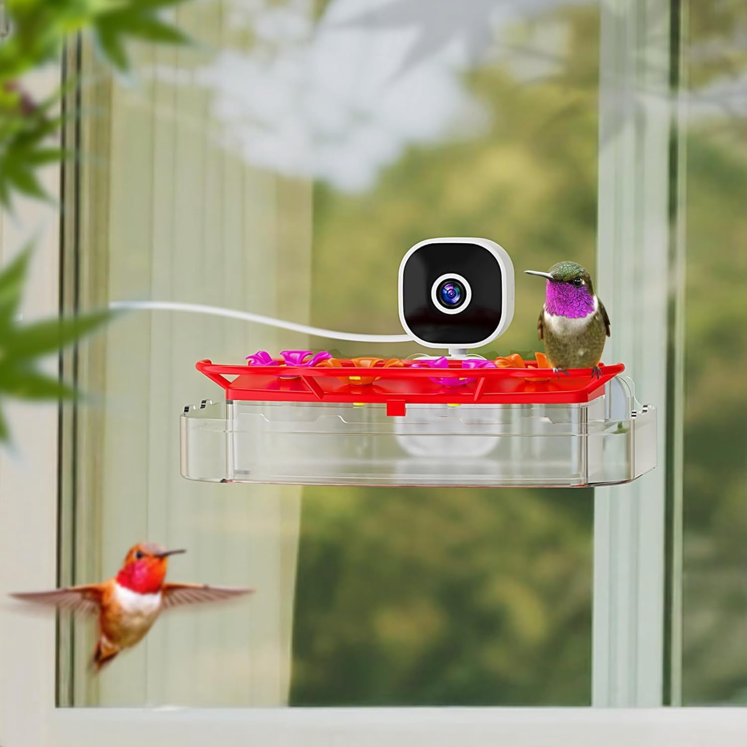 Freeseason Smart Window Hummingbird Feeder with Camera & AI, 2K HD Live ...