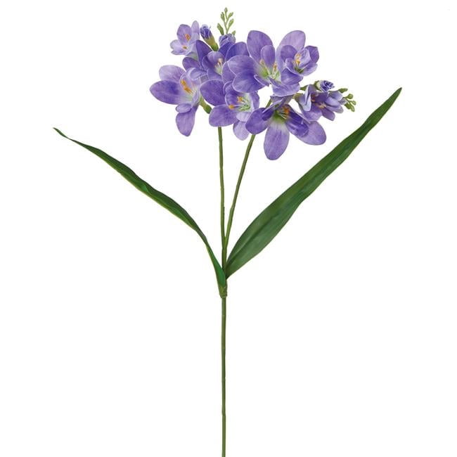 Freesias Stem - Box of 4 - Walmart.com