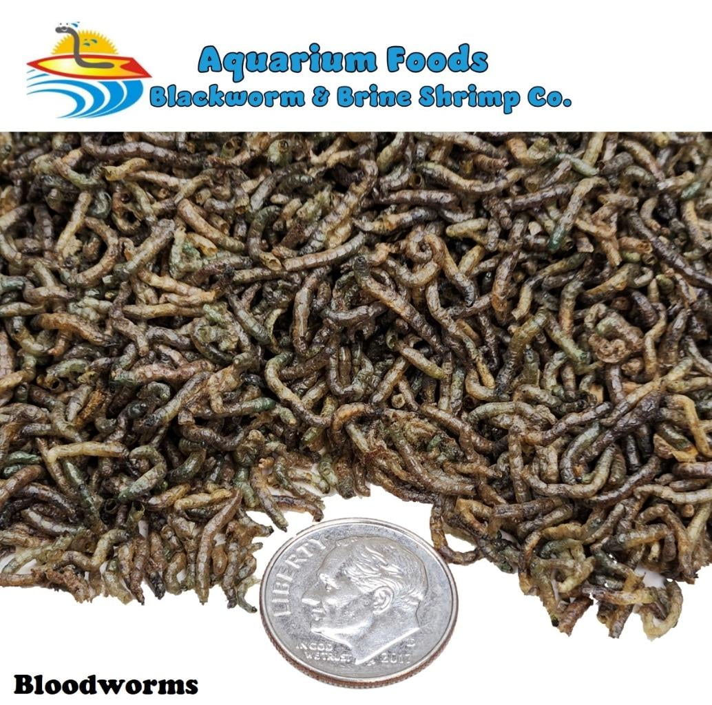 Freeze Dried Bloodworms- Tropical Fish, Marine Fish, Koi Fish, Turtles ...