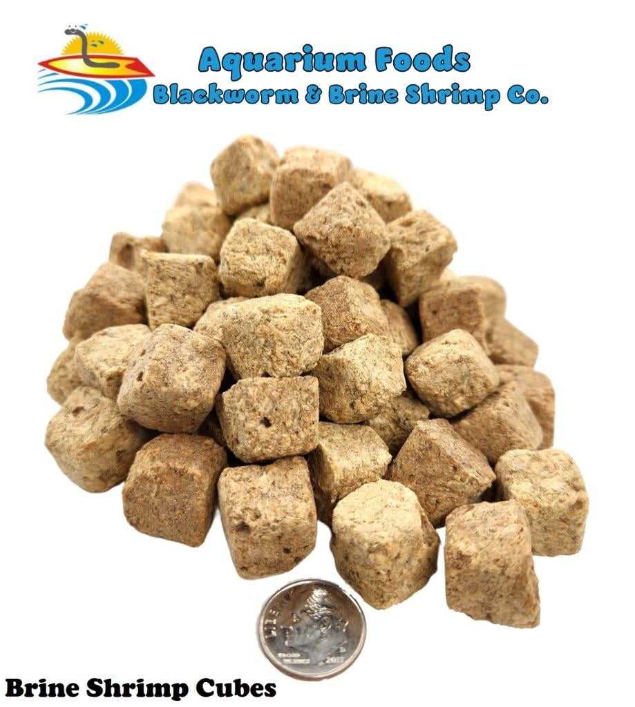 Freeze Dried Brine Shrimp Cubes - Tropical Fish, Marine Fish, Koi Fish ...