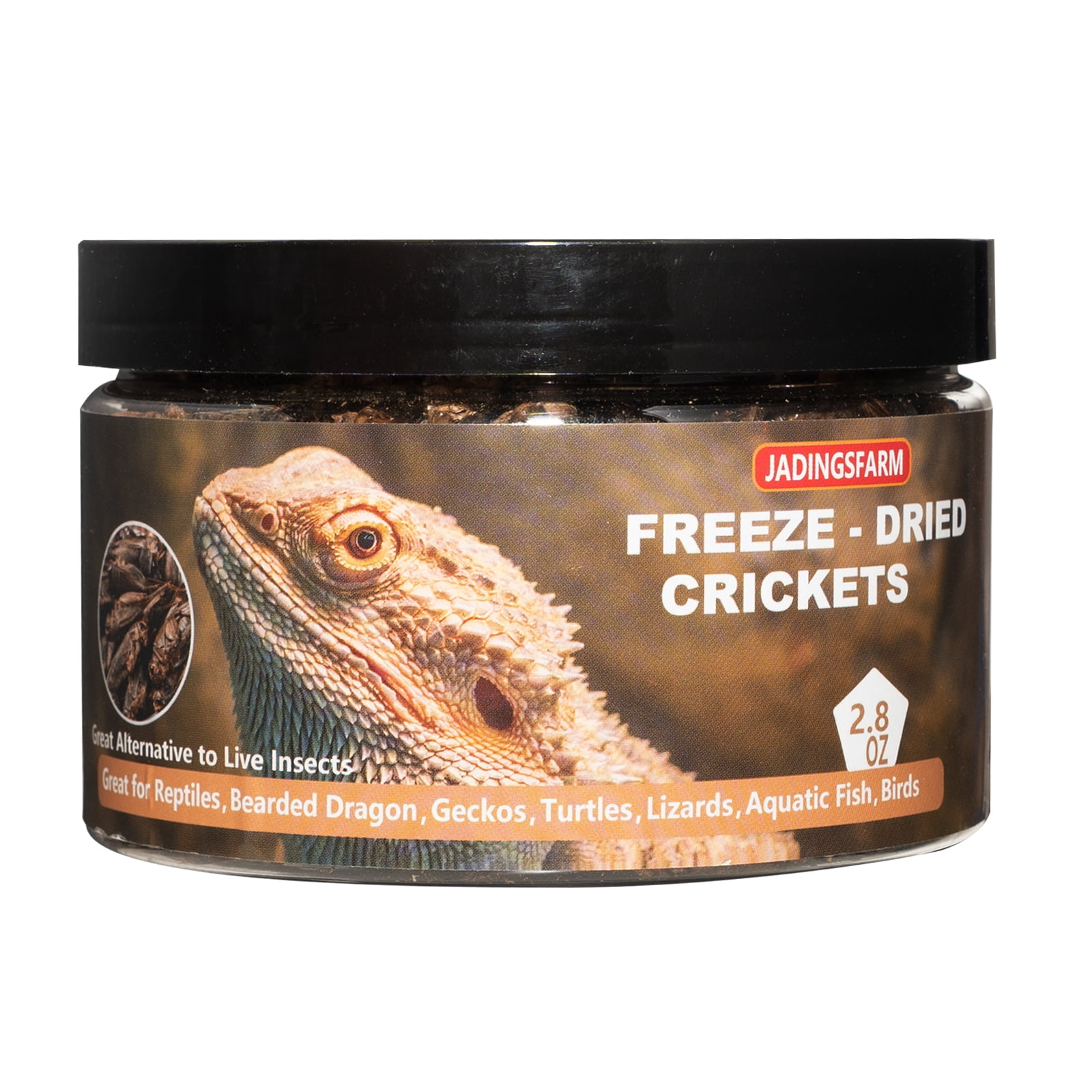 Freeze Dried Crickets – 2.8 Oz High Protein Freeze Dried Crickets, Food ...