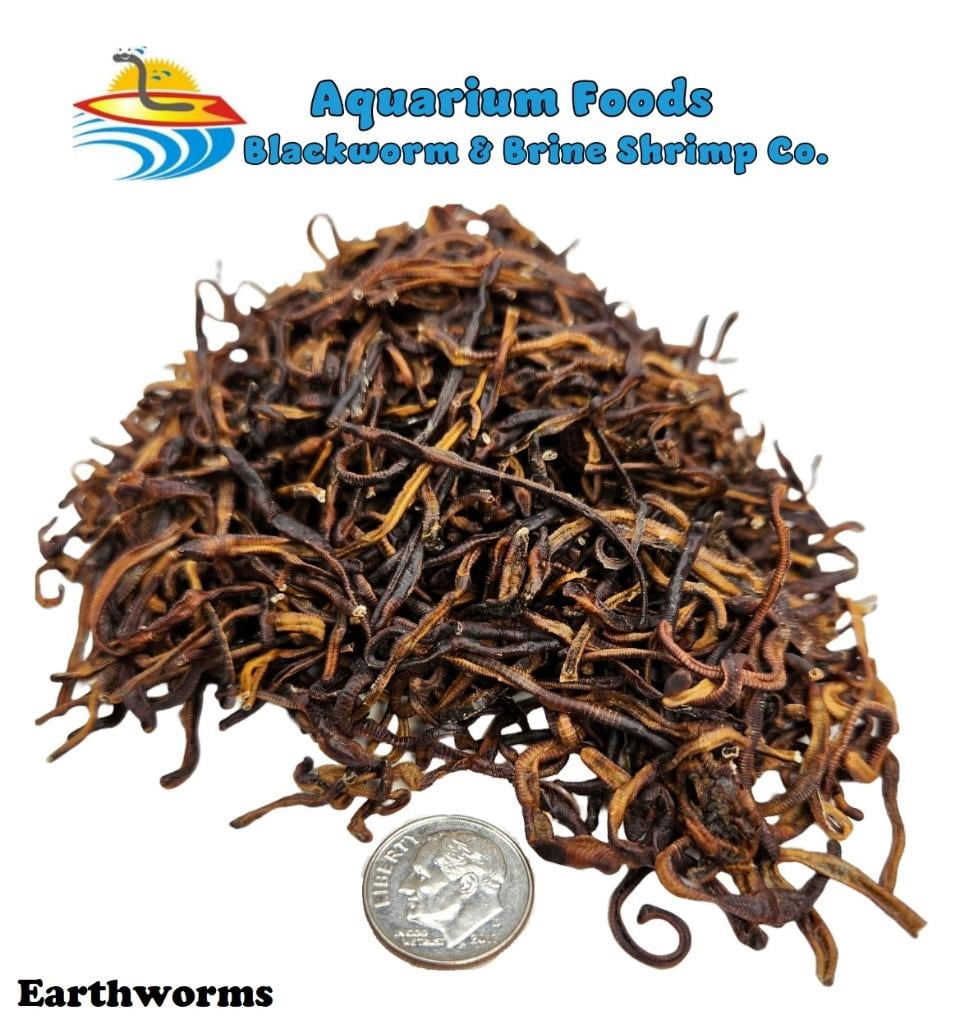 Freeze Dried Earthworms - Tropical Fish, Marine Fish, Koi Fish, Turtles ...