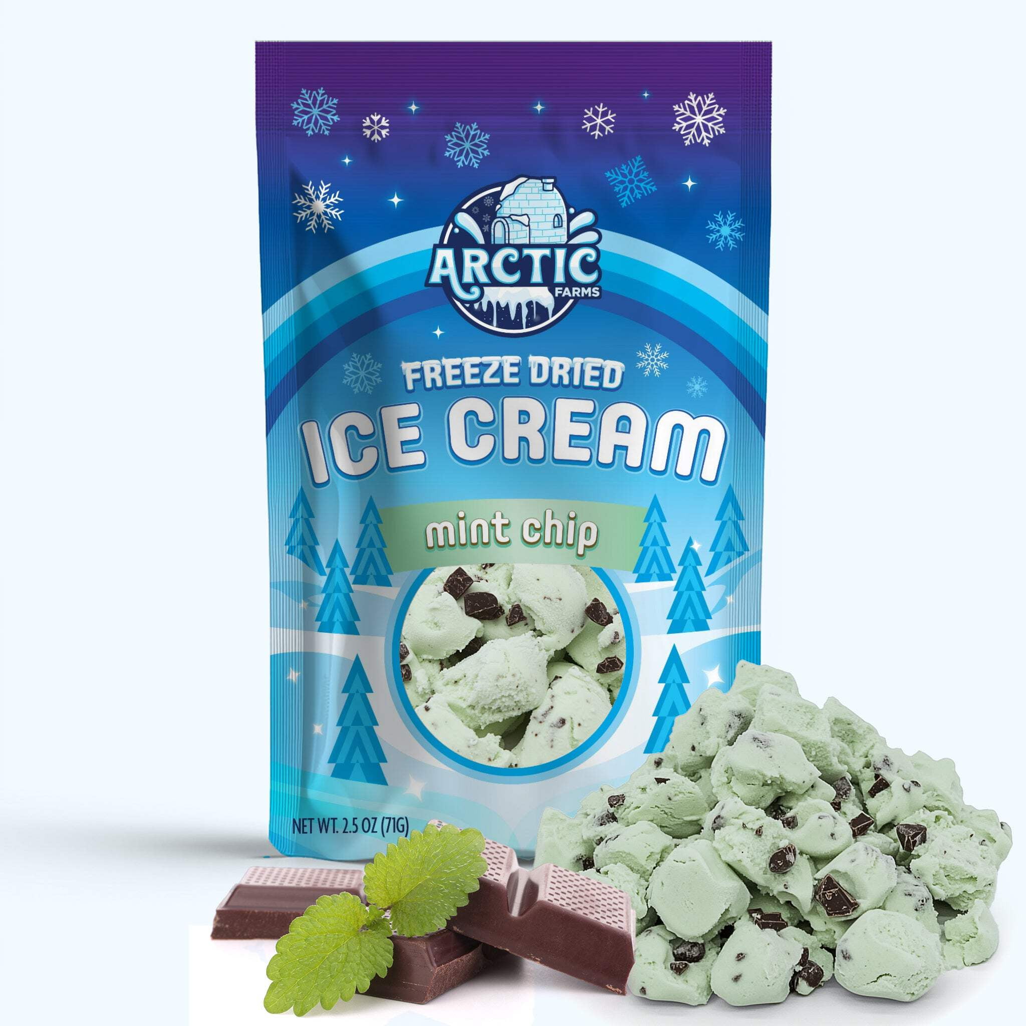 Freeze Dried Ice Cream That Does Not Melt (Bits) (Mint Chip) (2.5oz ...