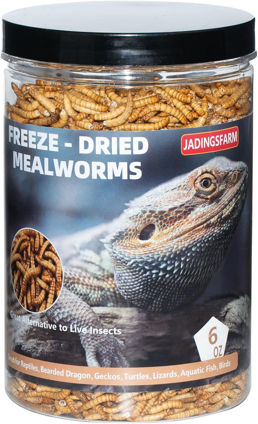 Freeze Dried Mealworms, 6 Oz High Protein Freeze Dried Meal Worms ...