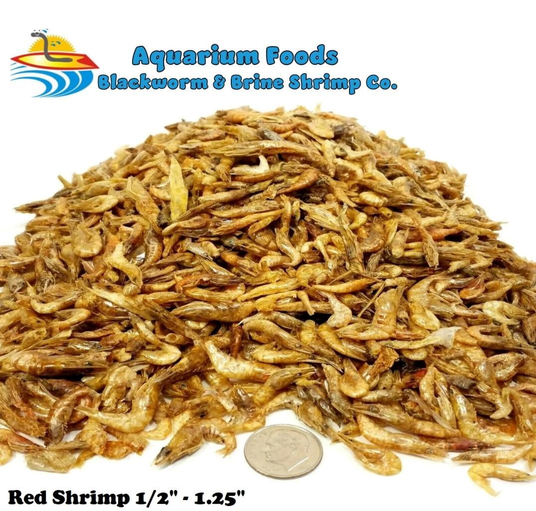 Freeze Dried Red Shrimp 1/2"-1.25" - Tropical Fish, Marine Fish, Koi ...