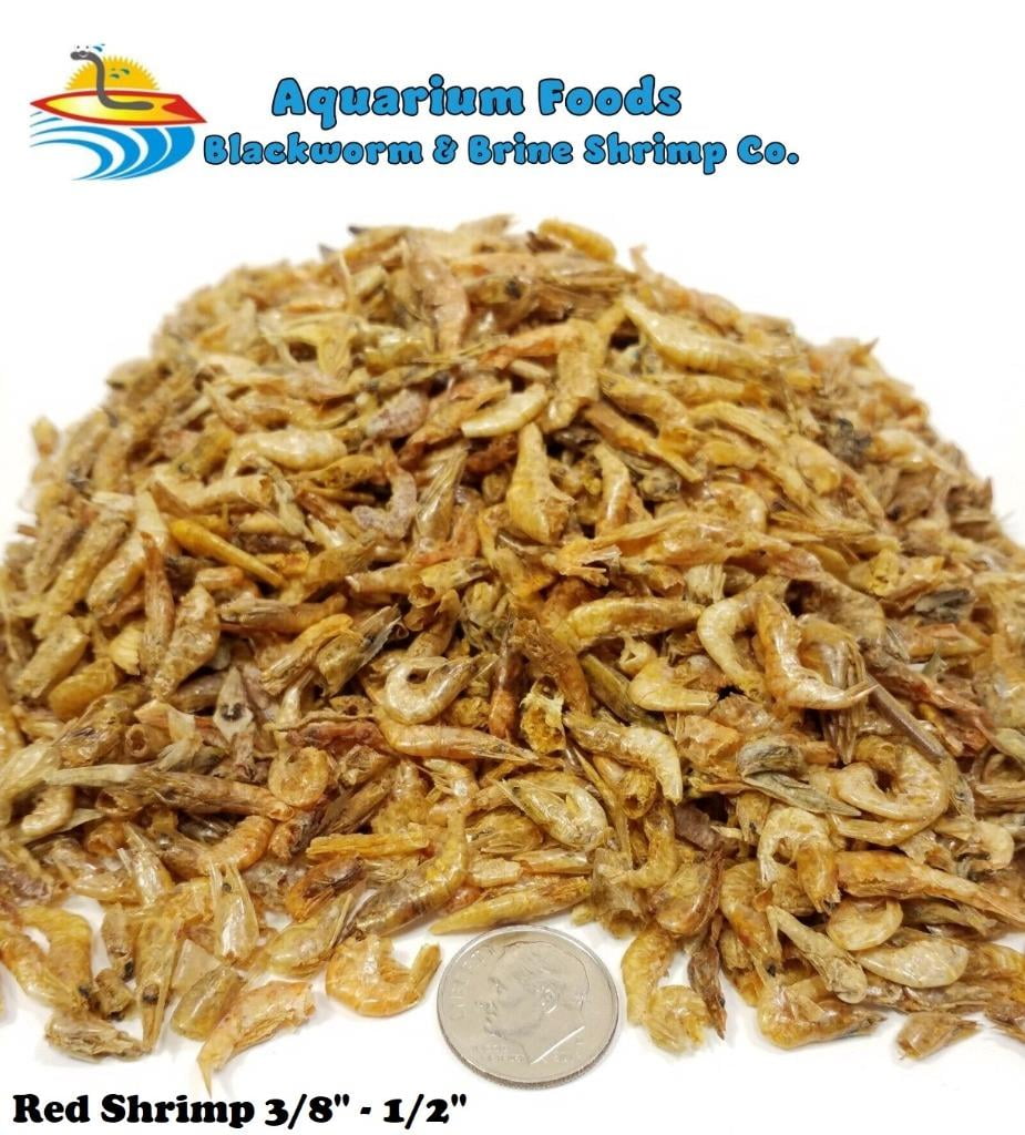 Freeze Dried Red Shrimp 3/8"-1/2" - Tropical Fish, Marine Fish, Koi ...