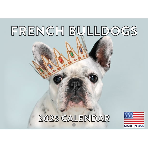 French Bulldog Calendar 2025 Frenchie Dog Gifts Monthly Wall Calender ...