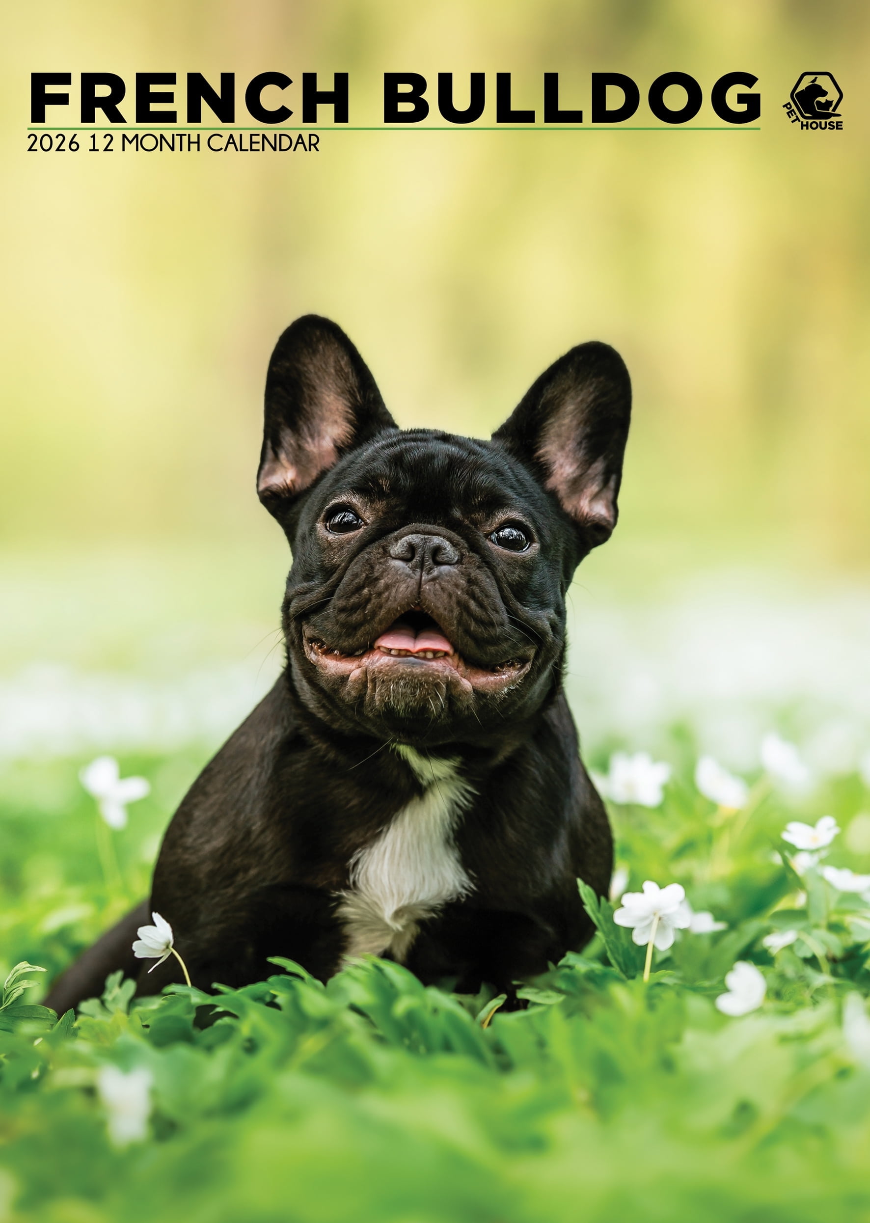 French Bulldog Calendar 2026 – A Year of Adorable Frenchie Charm ...