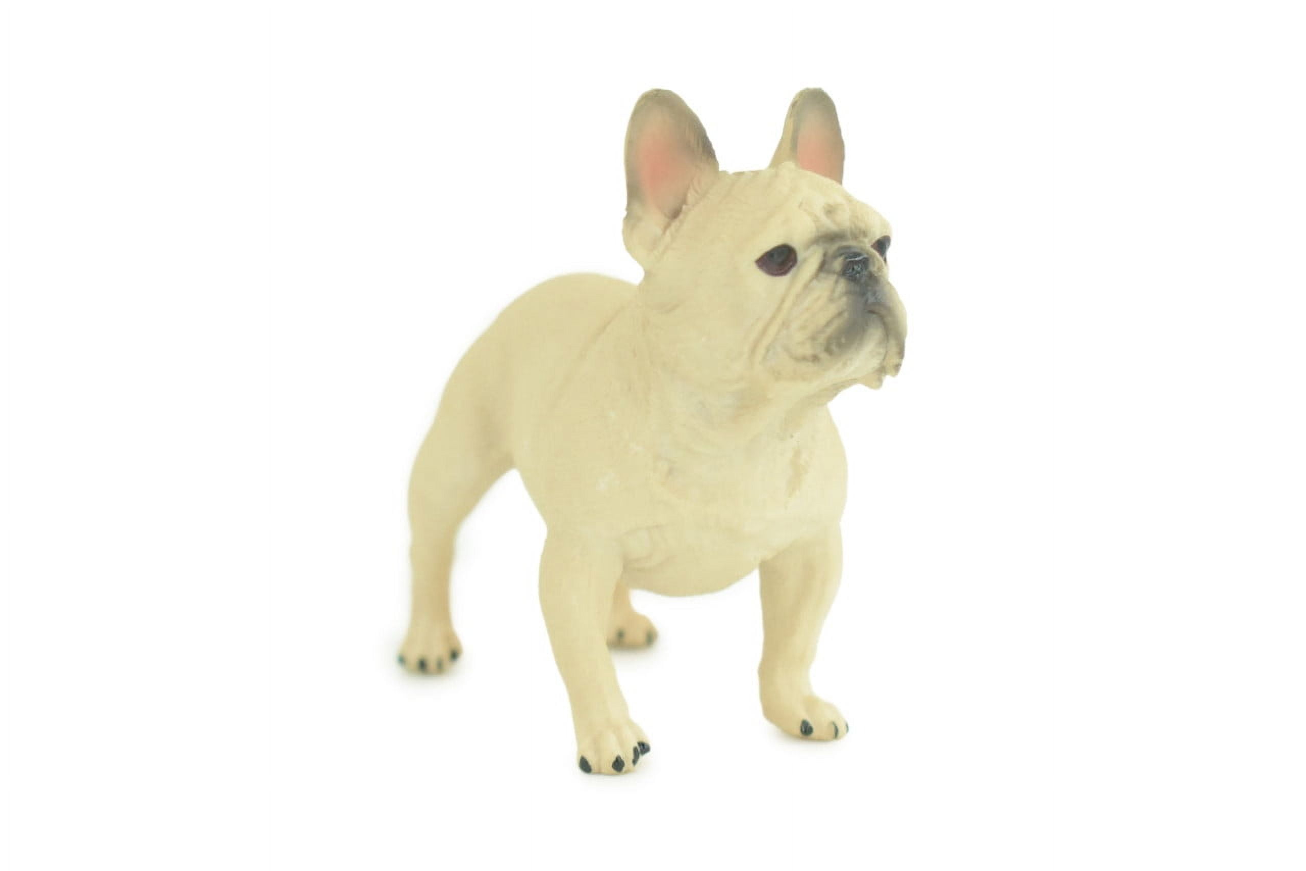 French Bulldog, Frenchie, Hand Painted, Educational, Museum Quality ...