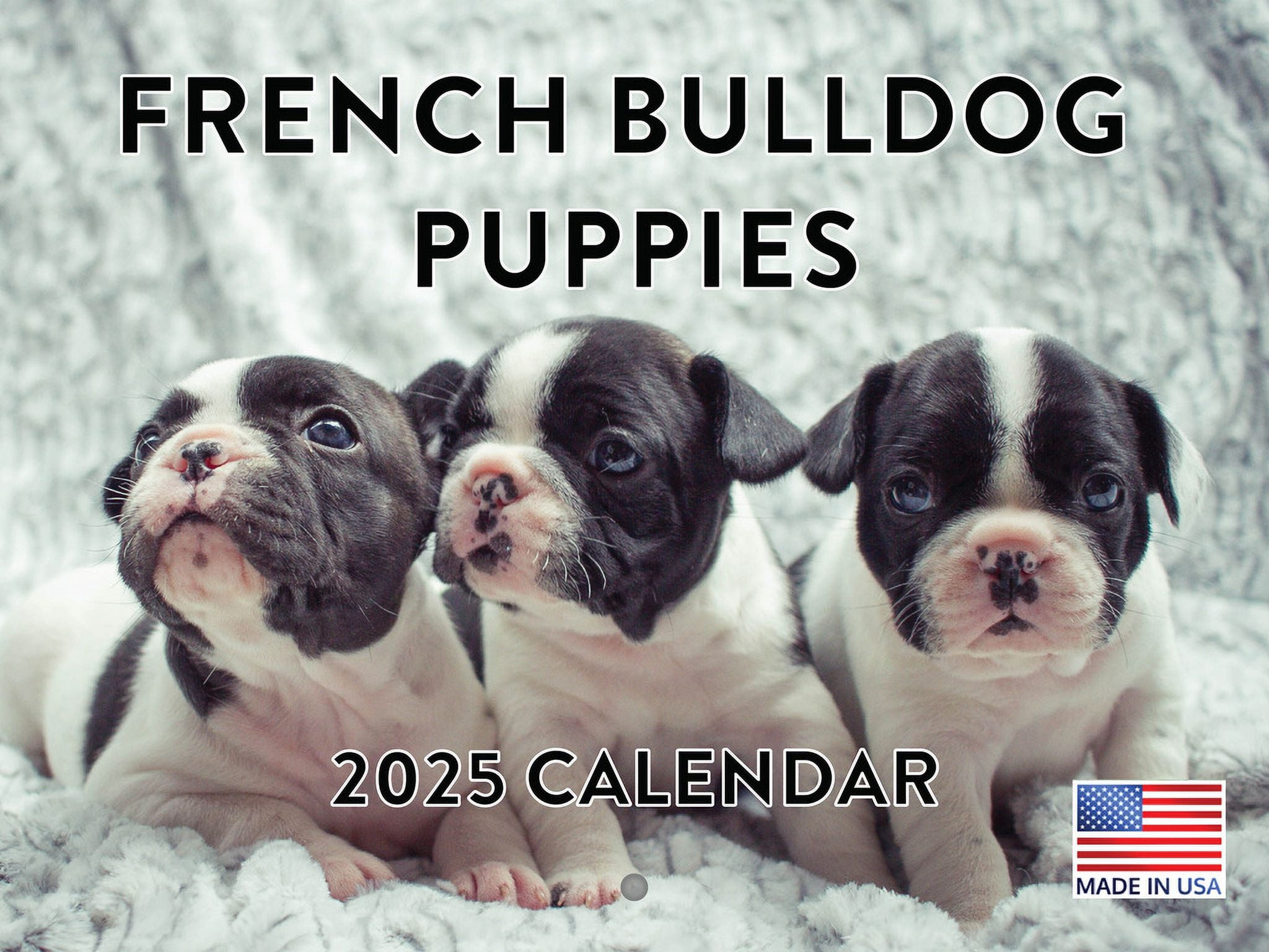 French Bulldog Puppy Calendar 2025 Frenchie Monthly Wall Calender 12 ...