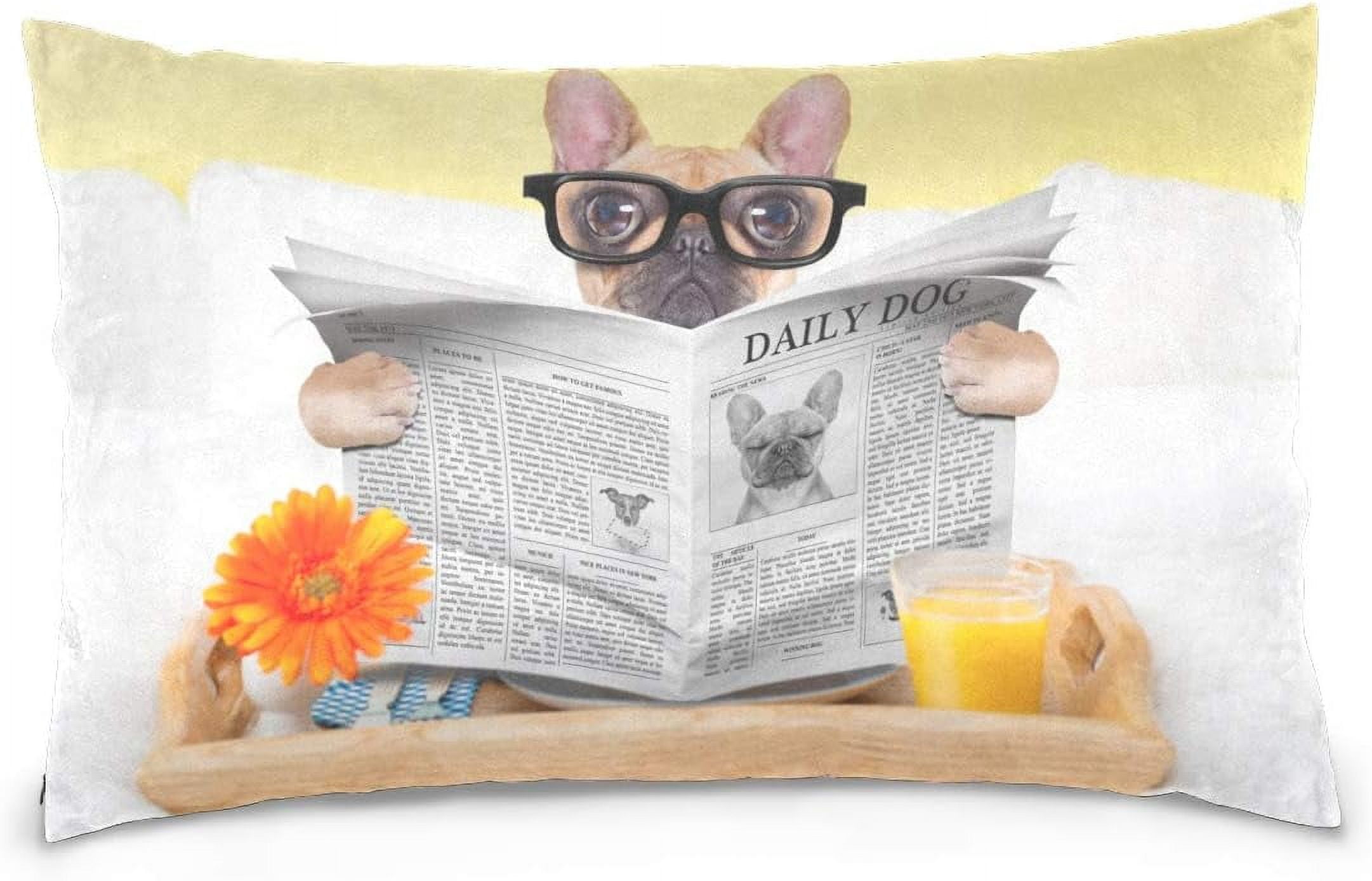 French Bulldog Reading Newspaper Velvet Oblong Lumbar Plush Throw ...