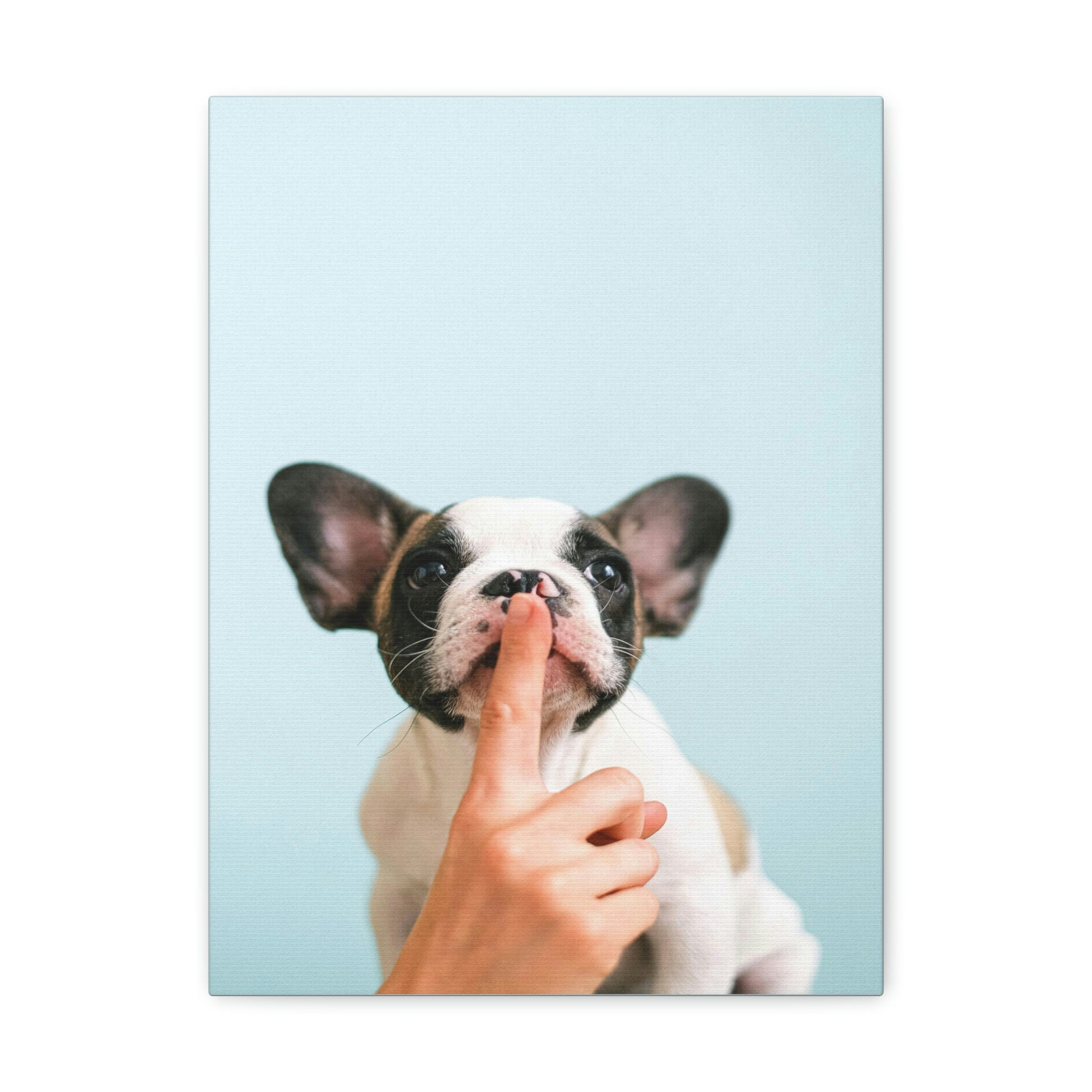 French Bulldog Says Quiet Canvas Wall Art Unframed - Walmart.com