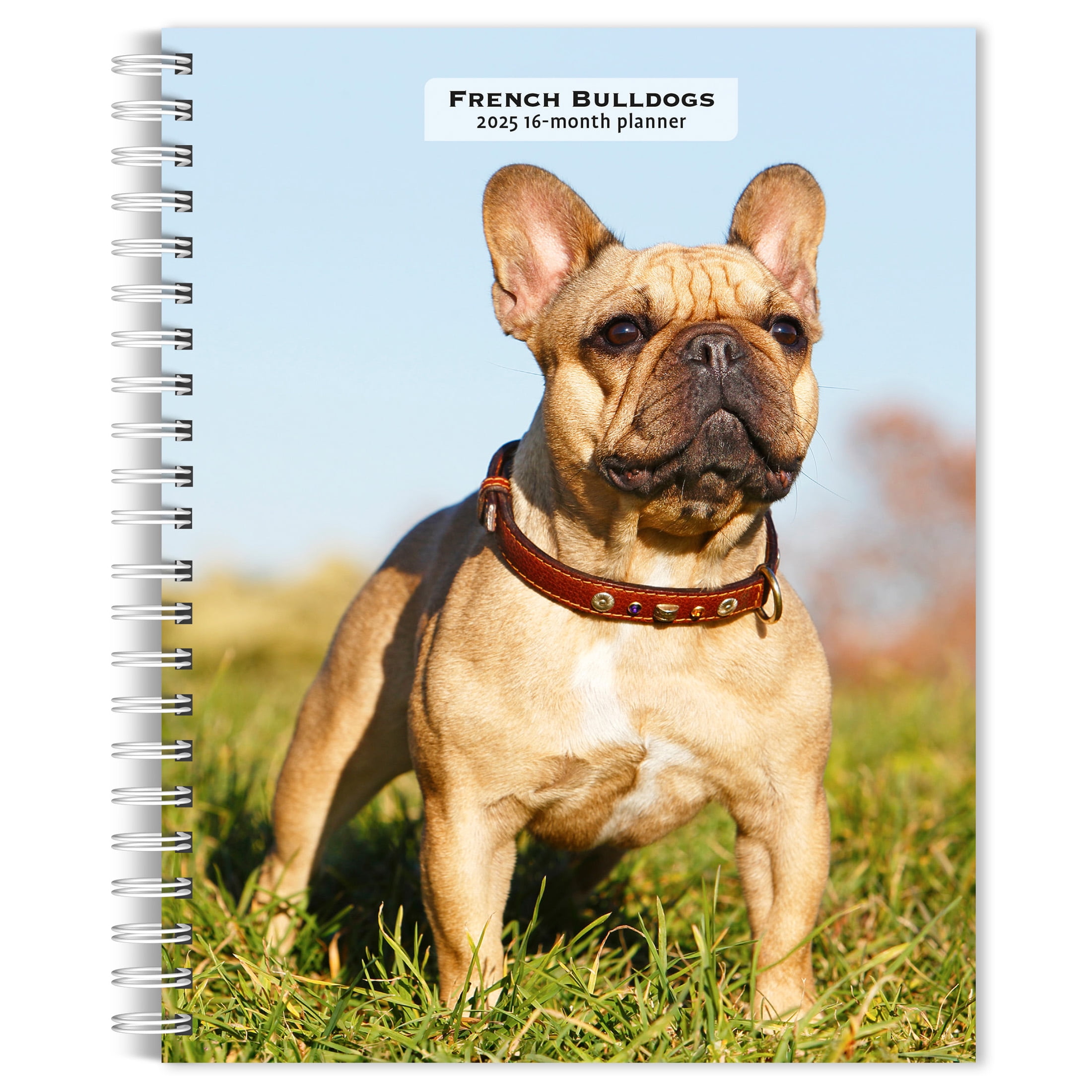 French Bulldogs | 2025 6x7.75" Engagement Planner Calendar | BrownTrout ...