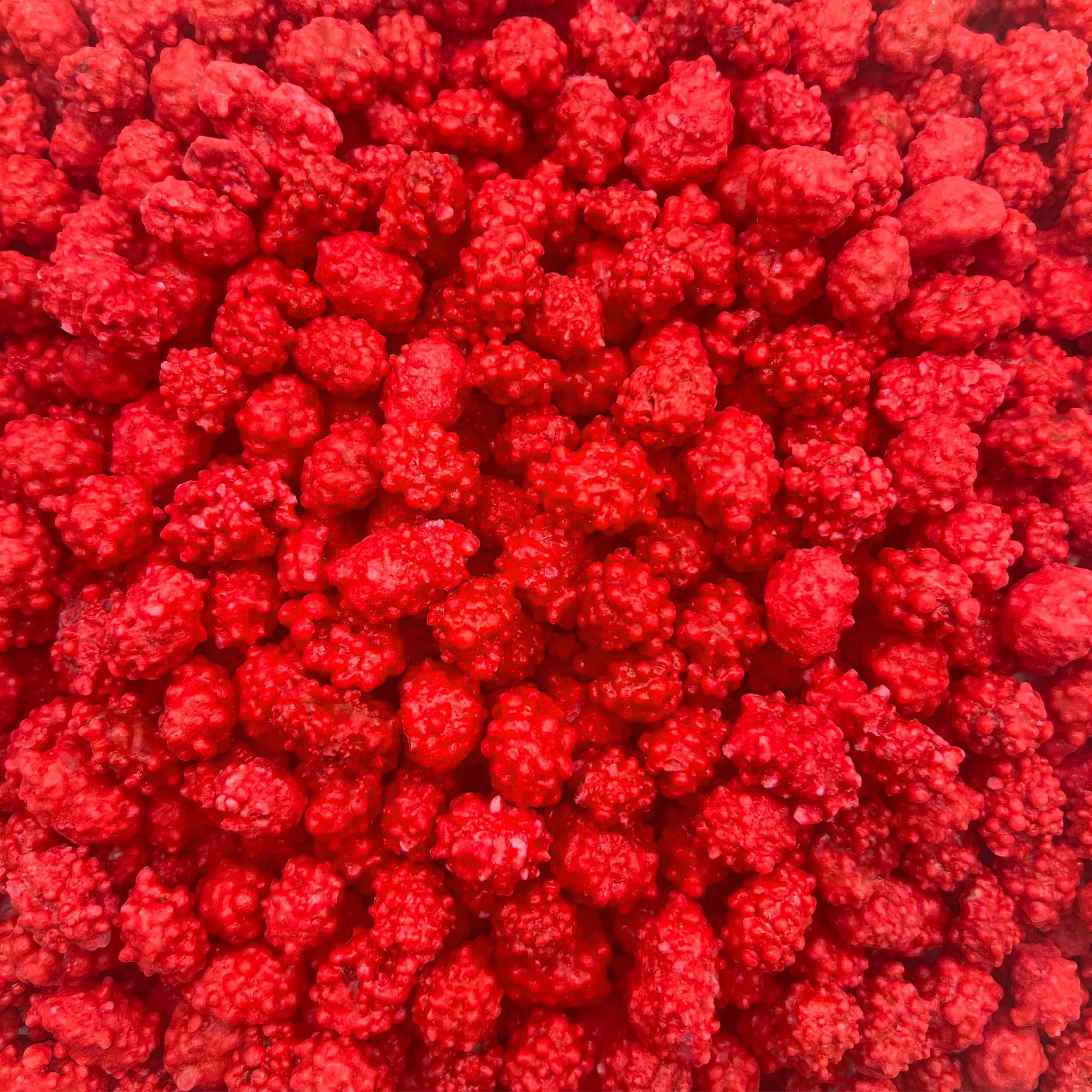 French Burnt Peanuts | YYF14 2-Pound Bag | Old-Fashioned Candy Snack ...