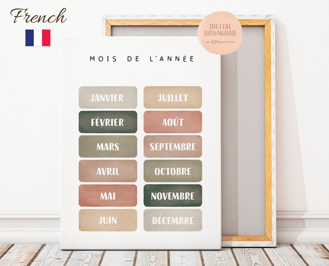 French Educational Poster, French Classroom Printables, Months Of The ...