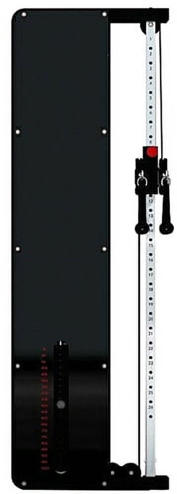 French Fitness Dual Pulley Wall Mounted Cable Column (New) - Walmart.com
