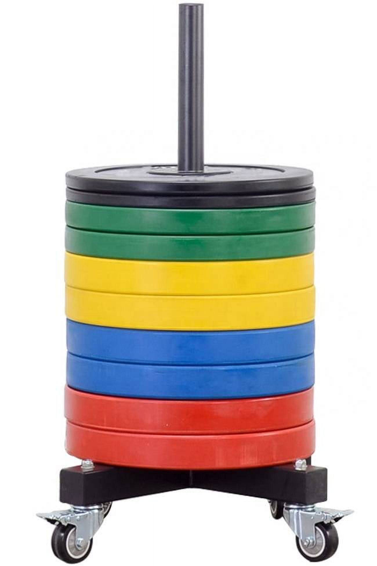 French Fitness Portable Bumper Plate Stacker Rack w/Wheels (New ...