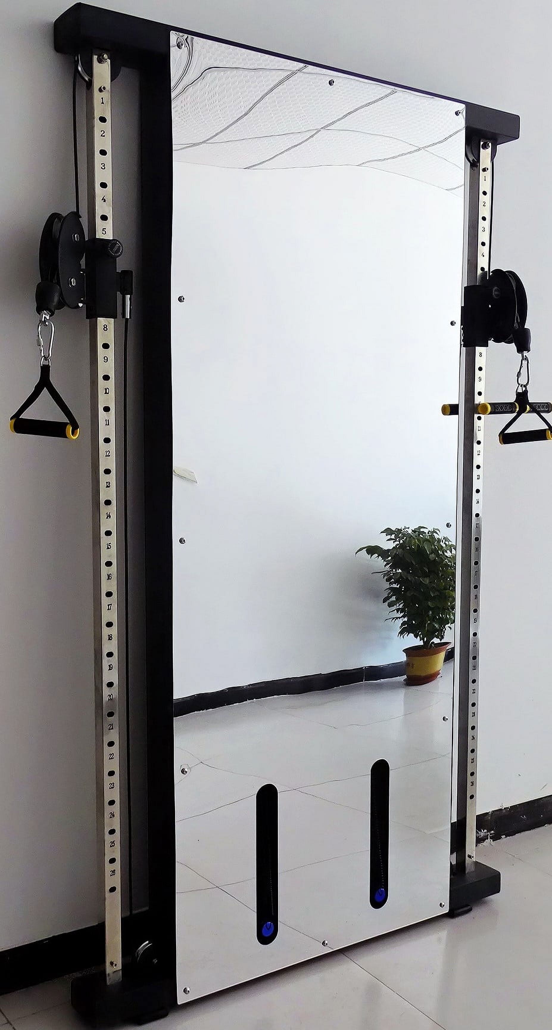 French Fitness Wall Mounted Mirror Functional Trainer (New) - Walmart.com